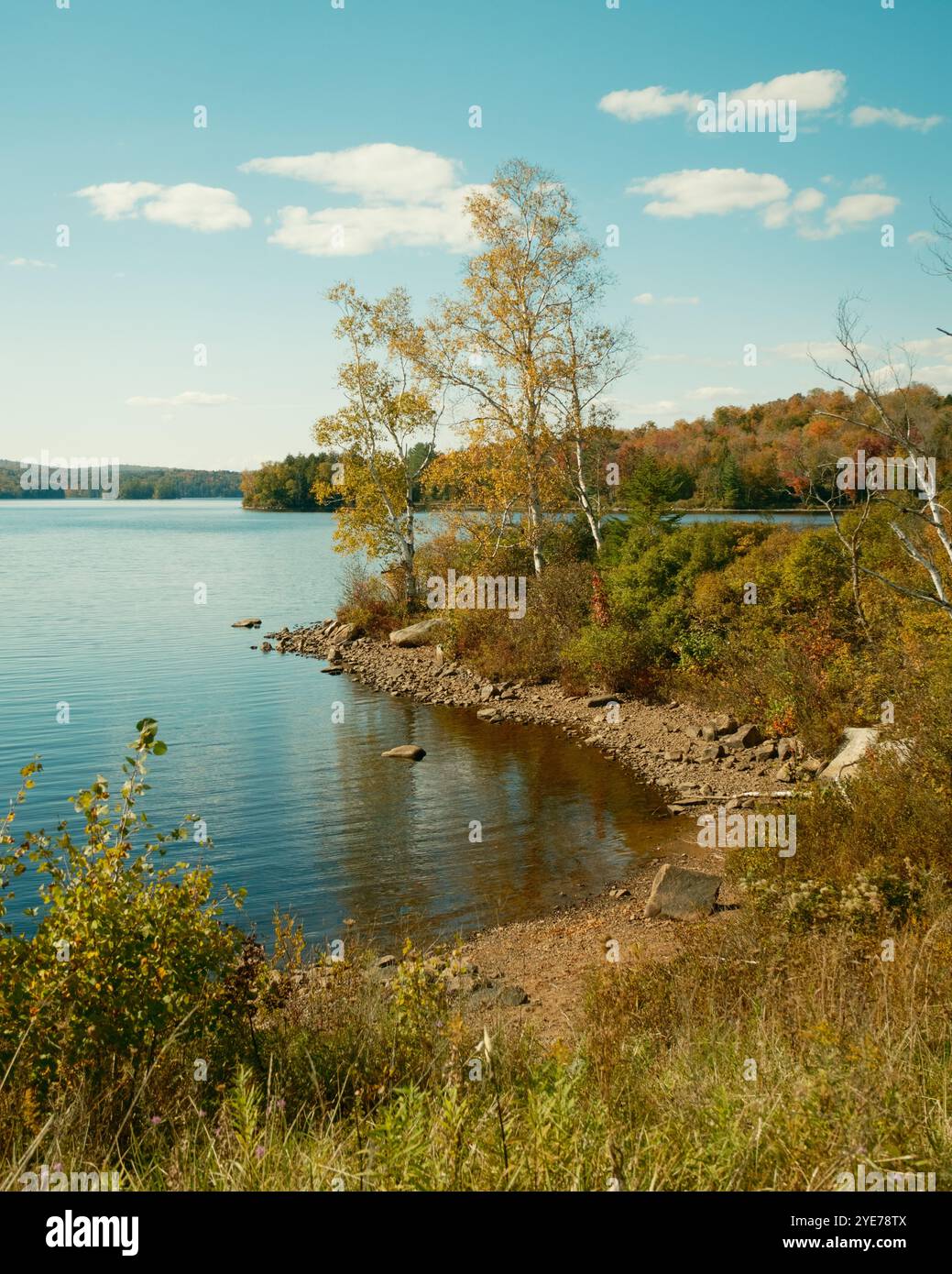 The shoreline of Tupper Lake in the Adirondack Mountains, New York ...