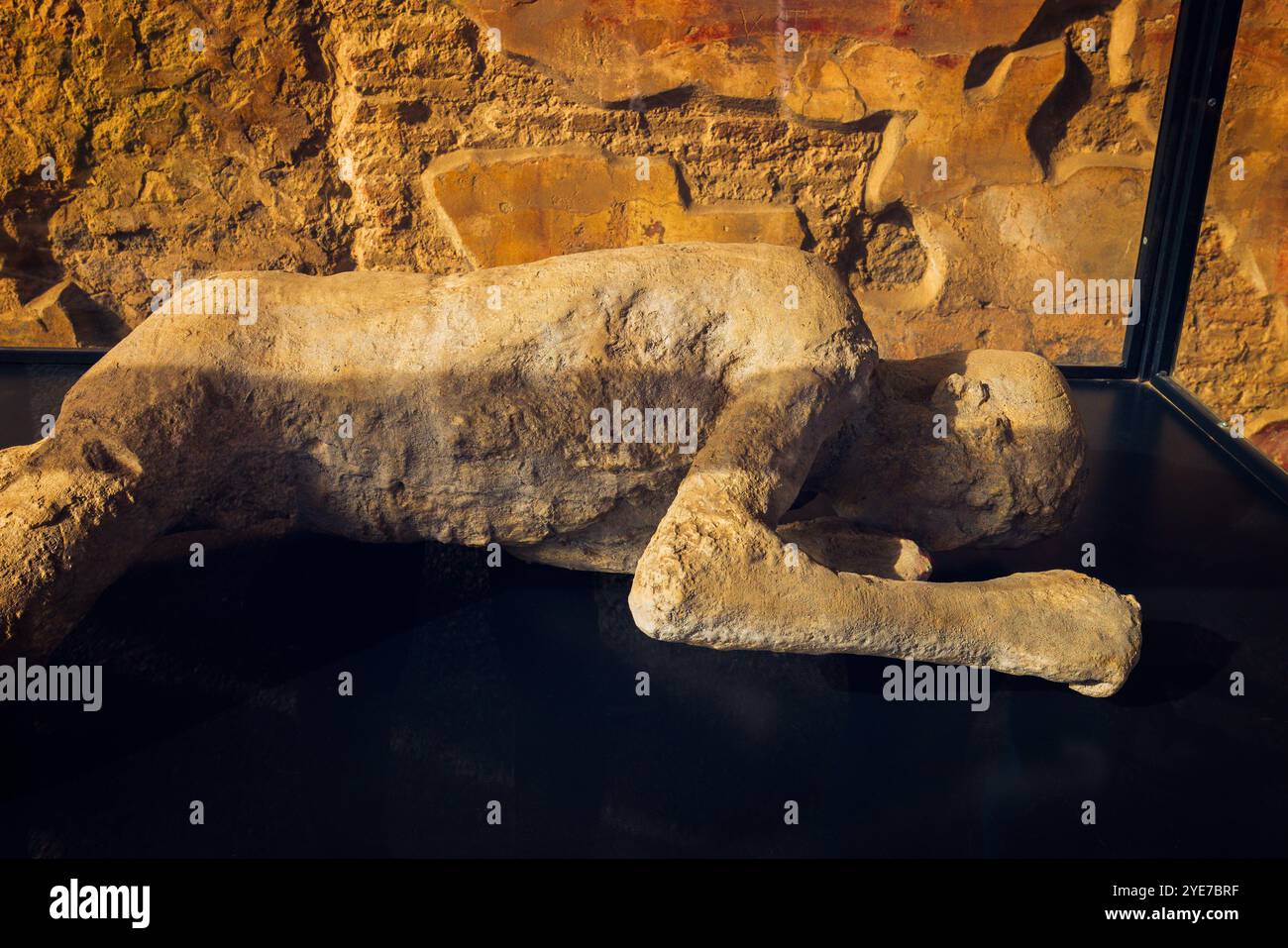 Preserved Remains of victim in Pompei city destroyed by Vesuvius ...