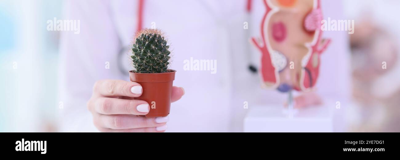 Gynecologist shows cactus and female reproductive organs Stock Photo ...