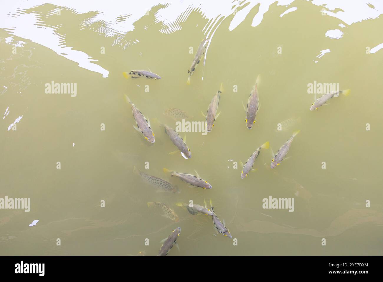 Archer lake hi-res stock photography and images - Alamy