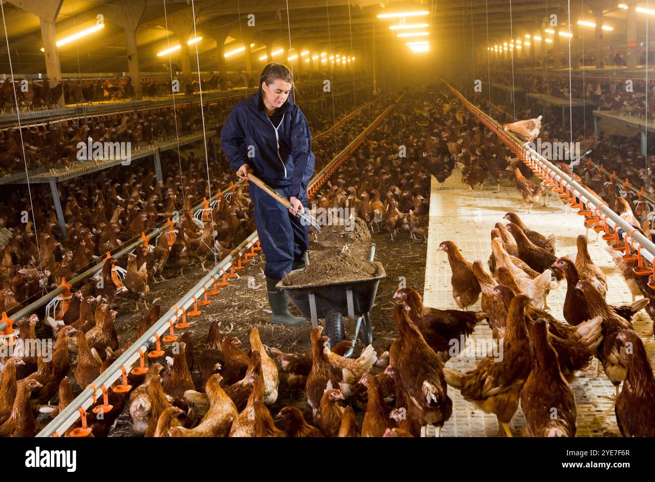 Accredited organisation hi-res stock photography and images - Alamy