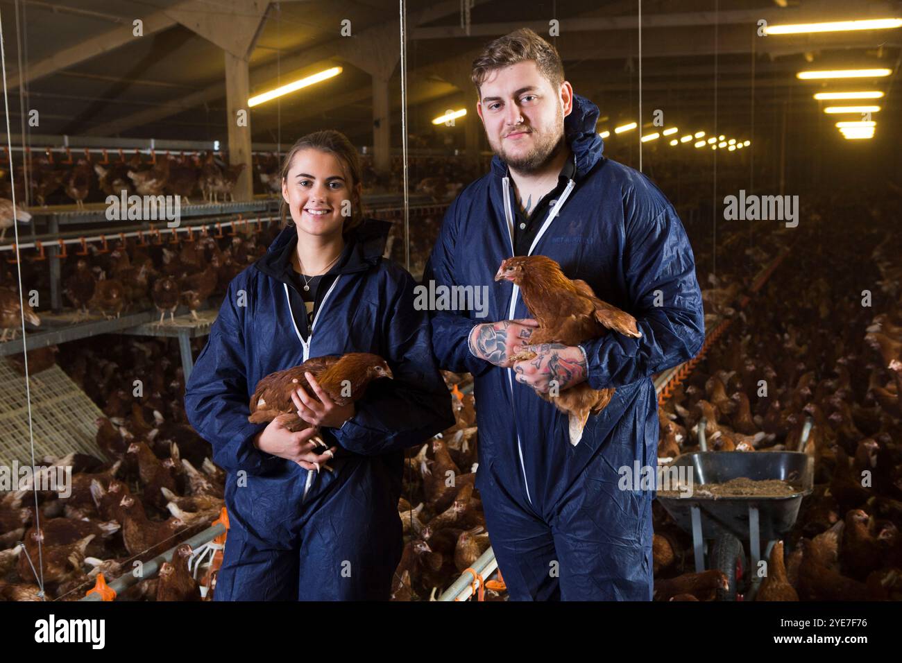 Accredited organisation hi-res stock photography and images - Alamy