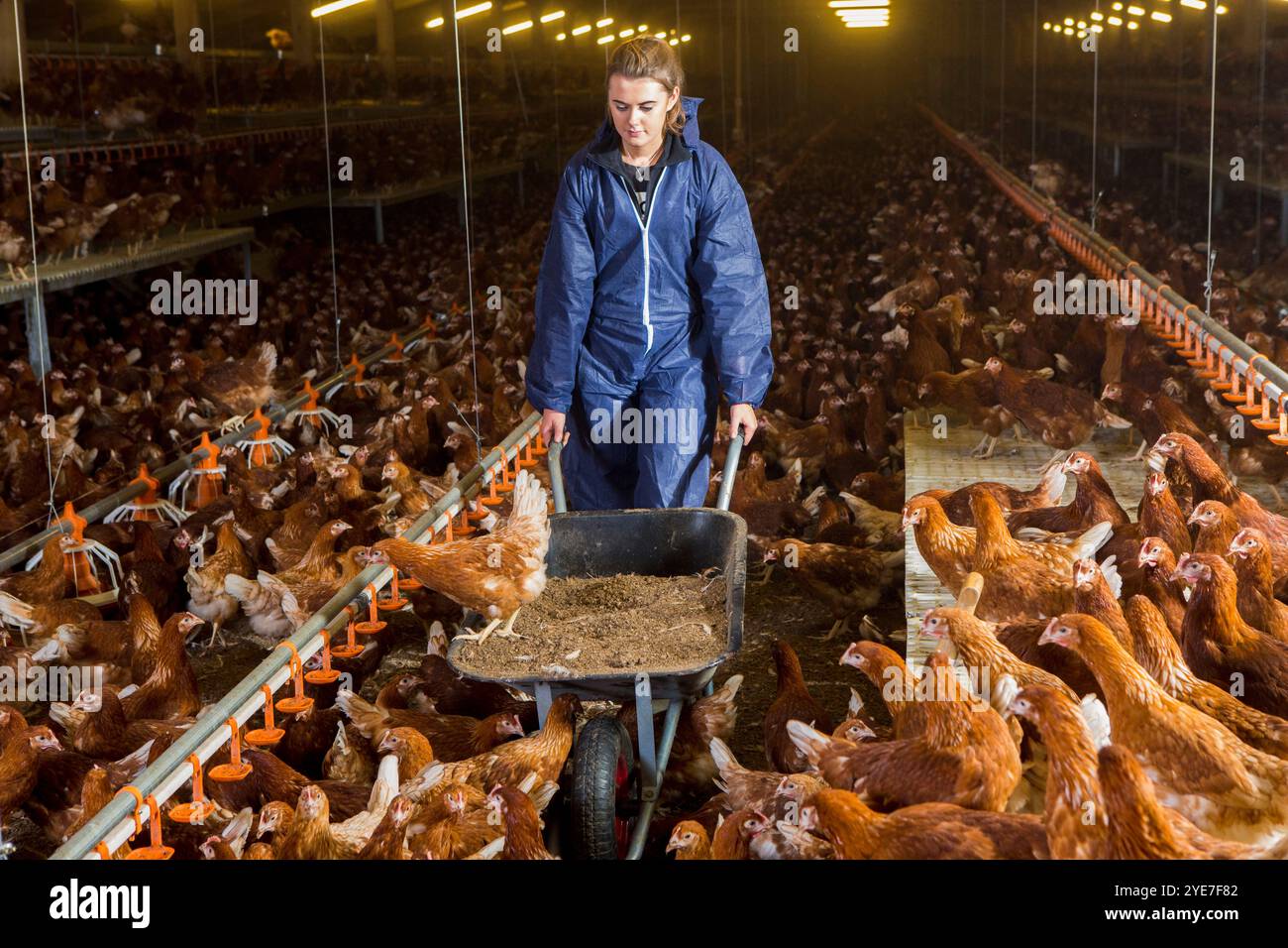 Higher barn farm hi-res stock photography and images - Alamy