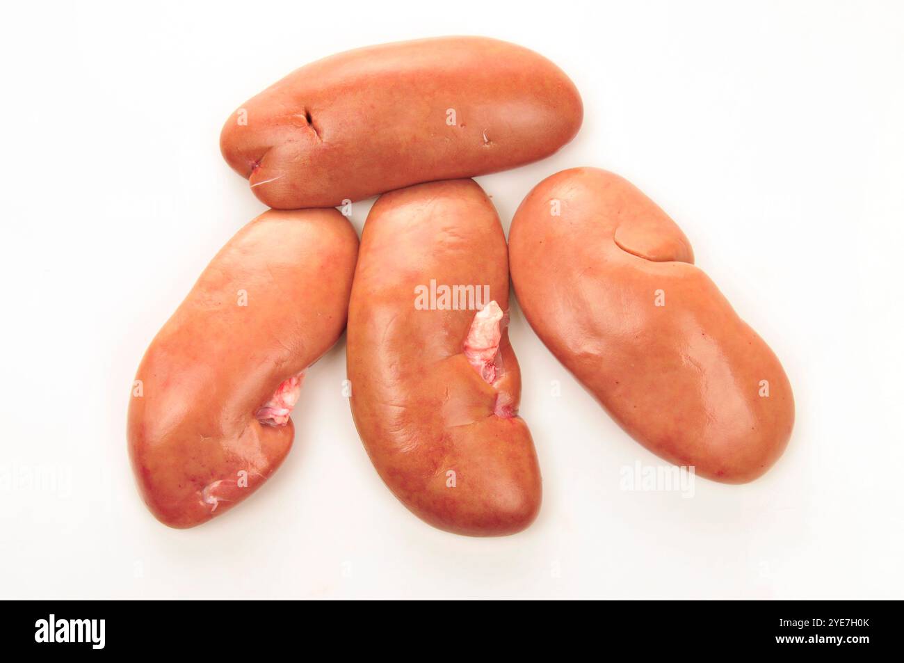 Pig kidney anatomy hi-res stock photography and images - Alamy