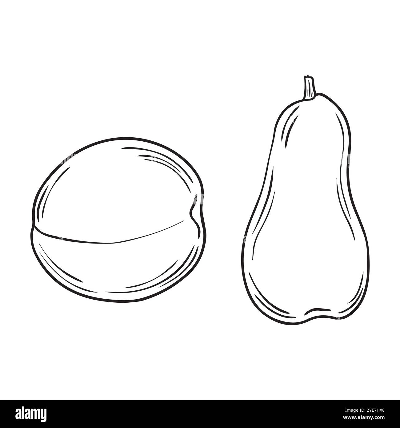 Linear drawing of pear and plum hand drawn. Vector illustration Stock ...