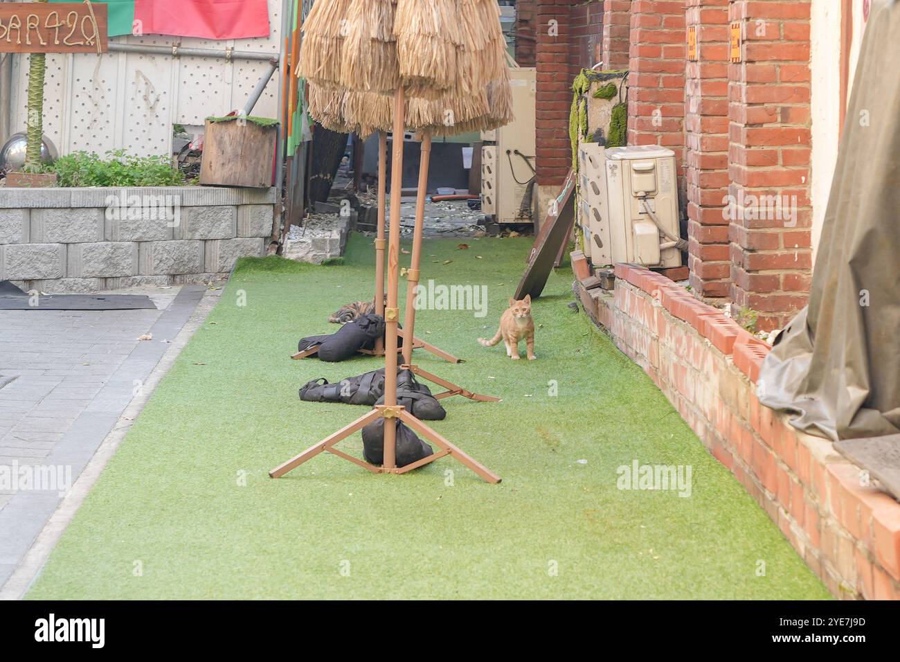 Public roads around Changgyeonggung-ro, Jongno-gu, Seoul, South Korea ...