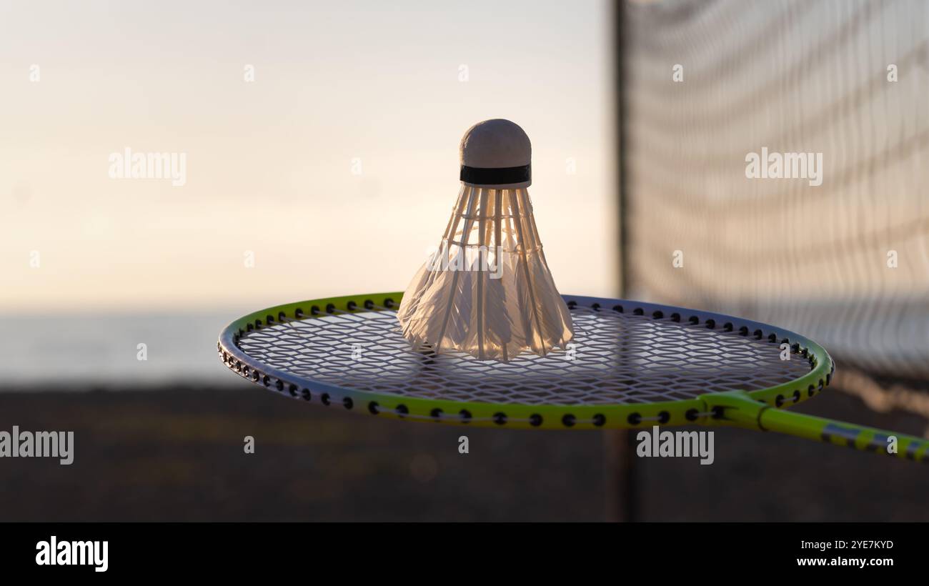 Badminton court shuttlecock hi-res stock photography and images - Alamy