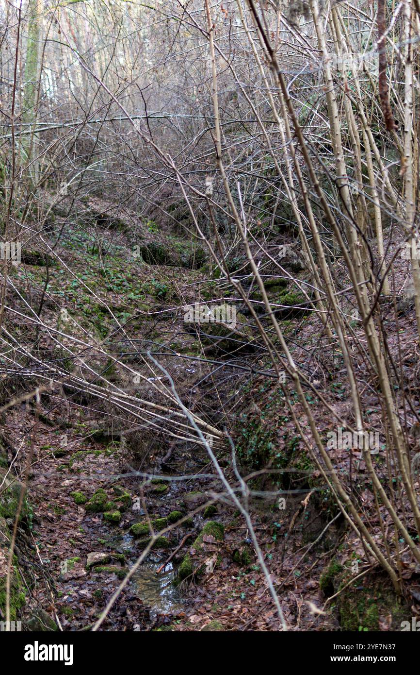 Almost empty stream with small amount of water during snowless winter ...