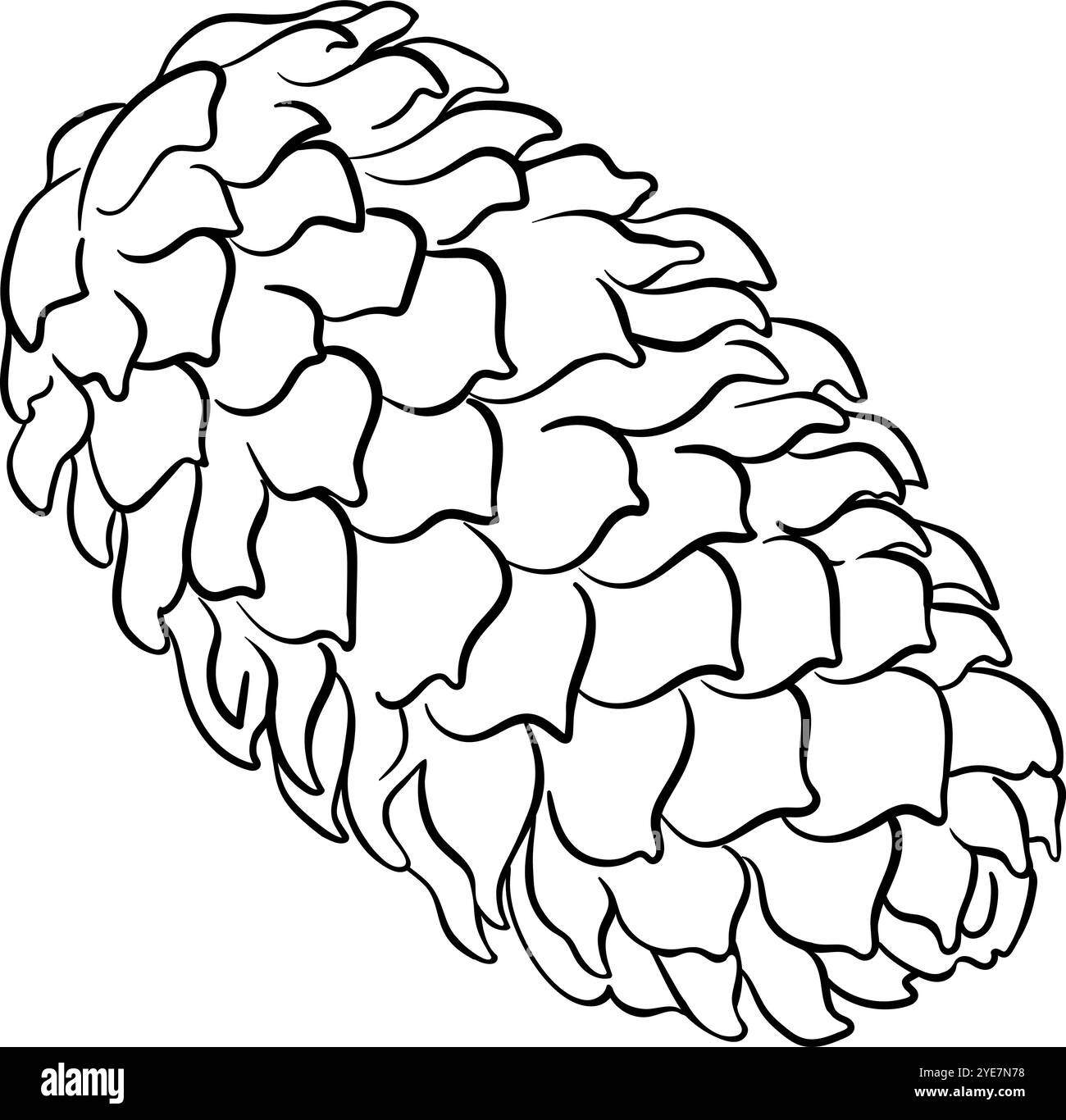 fir tree cone outline illustration Stock Vector Image & Art - Alamy