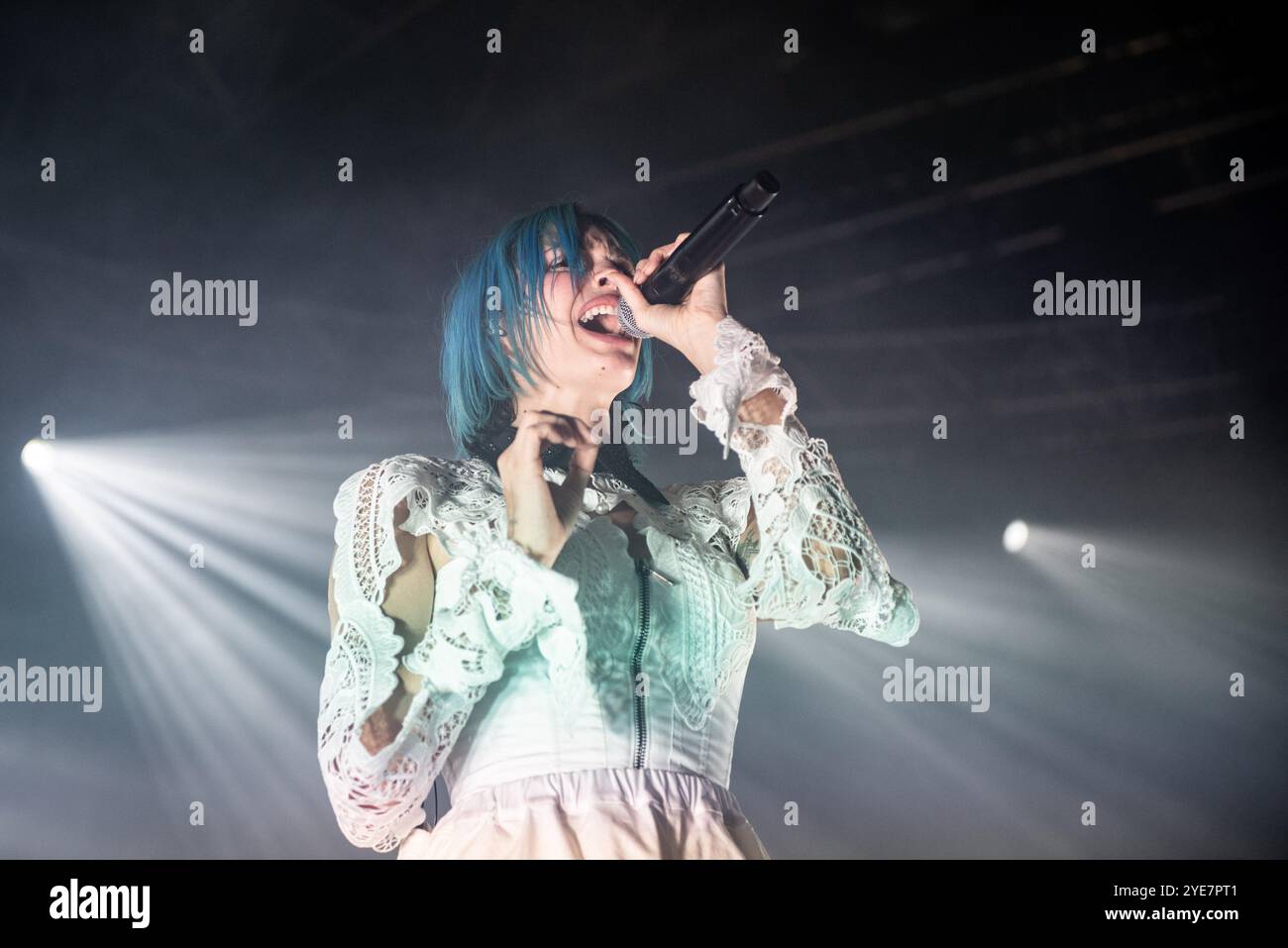 Rose Villain (Rosa Luini Stock Photo - Alamy