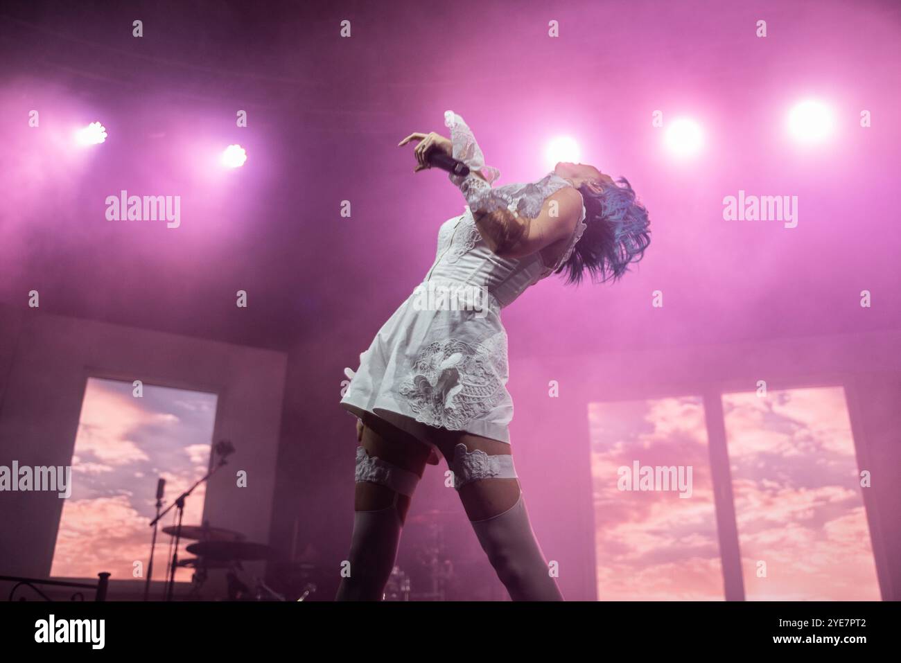 Rose Villain (Rosa Luini Stock Photo - Alamy