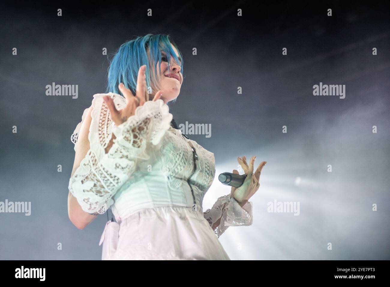 Rose Villain (Rosa Luini Stock Photo - Alamy