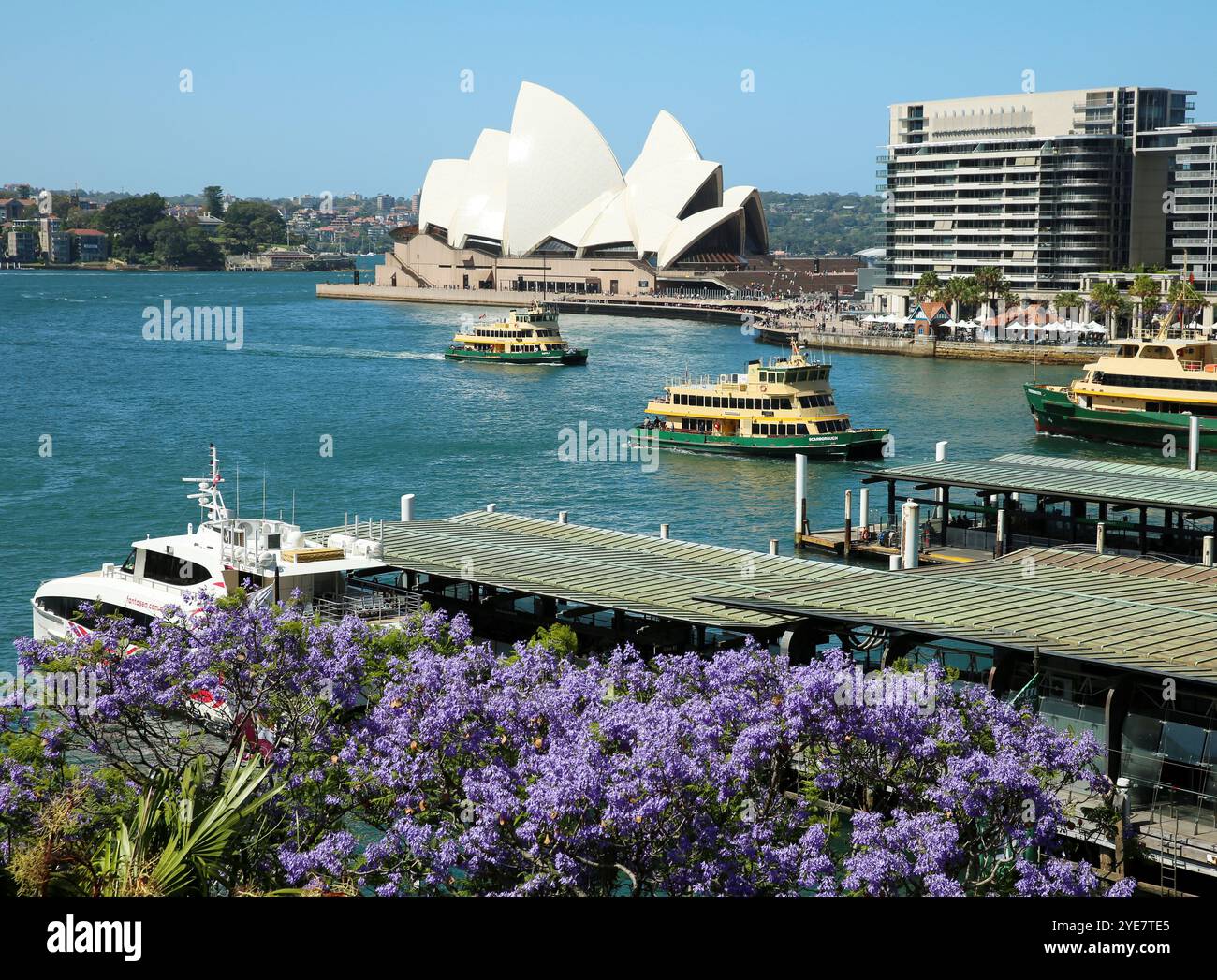 Sydney. 30th Oct, 2024. This photo taken on Oct. 30, 2024 shows ...