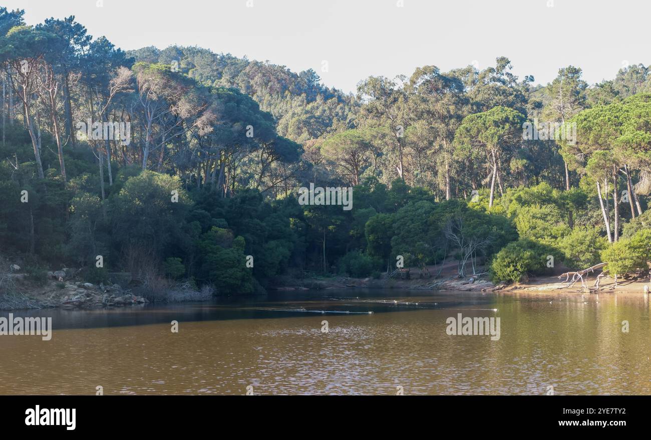 Calm water reflecting the lush green forest surrounding the rio da mula ...