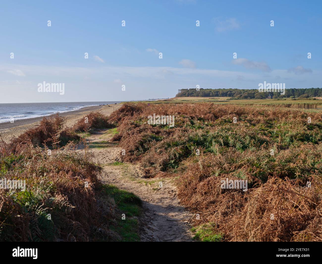 Covehithe Beach, Benacre National Nature Reserve Stock Photo - Alamy