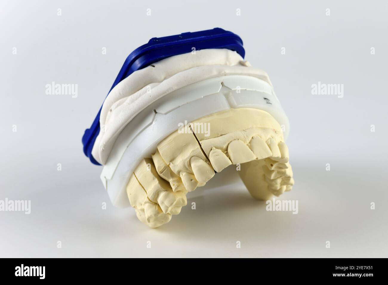 A dental model made of plaster with a detailed representation of the ...