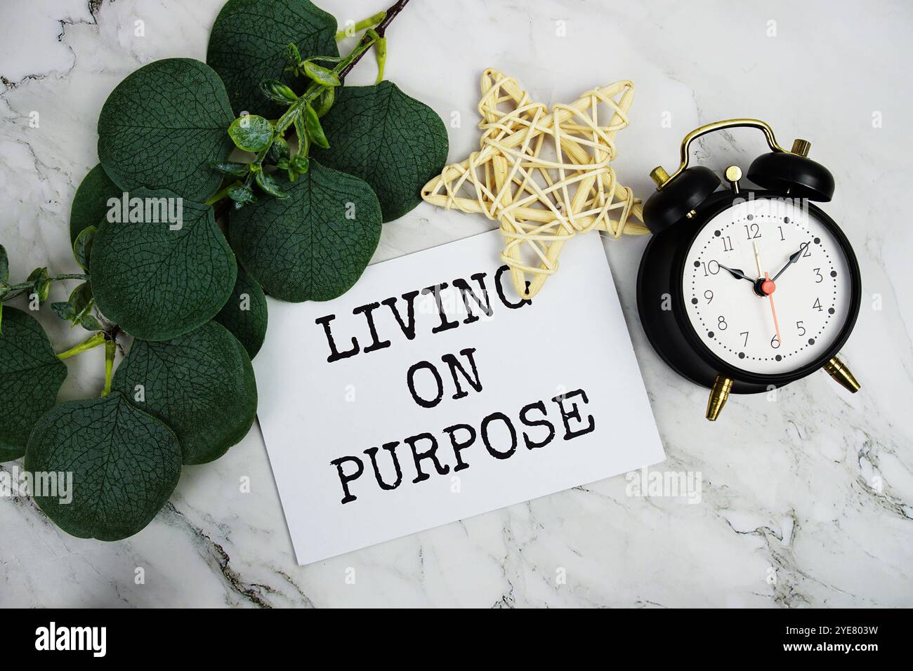 Living on purpose The phrase Motivational Words Quotes Concept Stock ...
