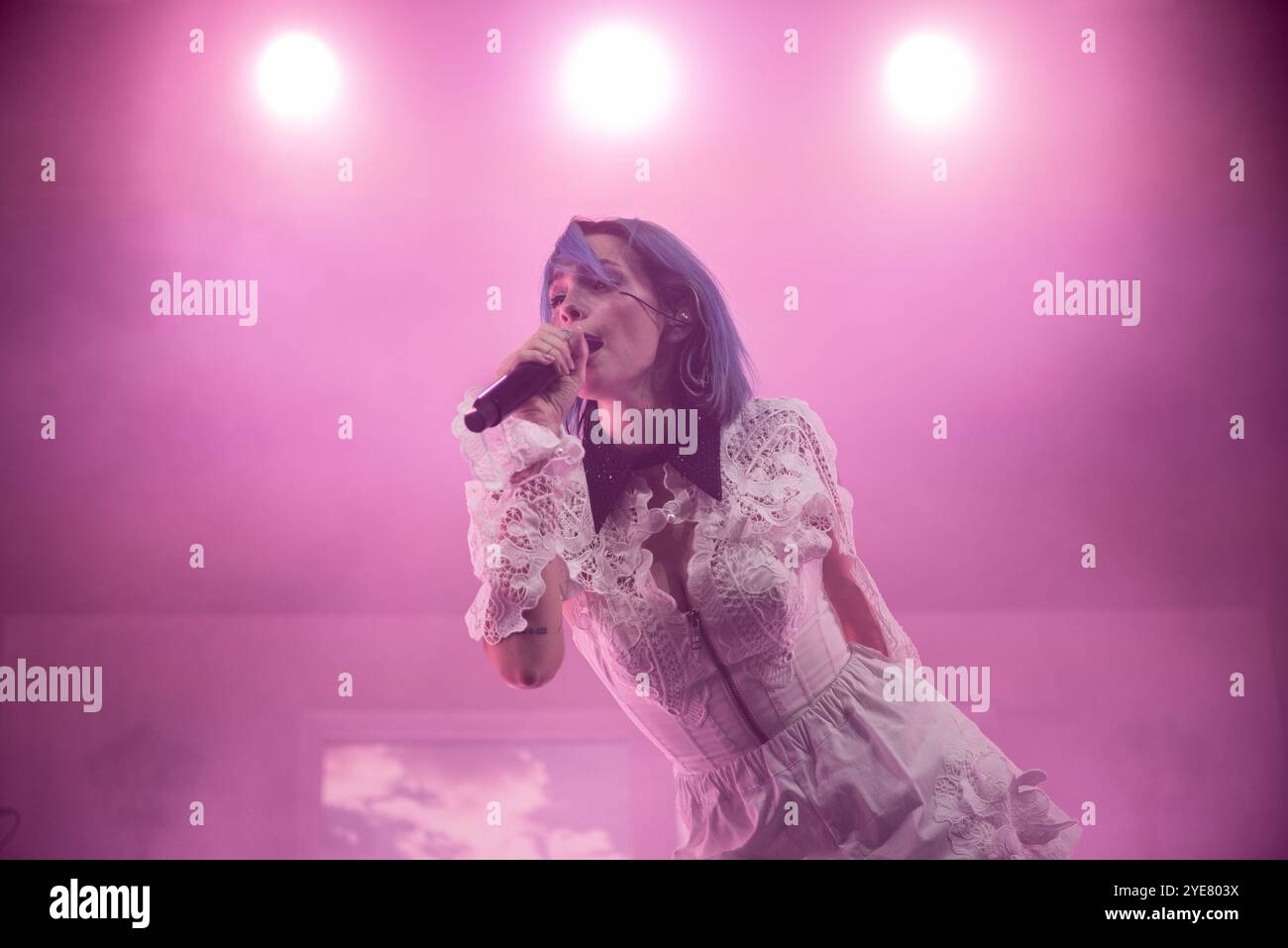 Rose Villain (Rosa Luini Stock Photo - Alamy