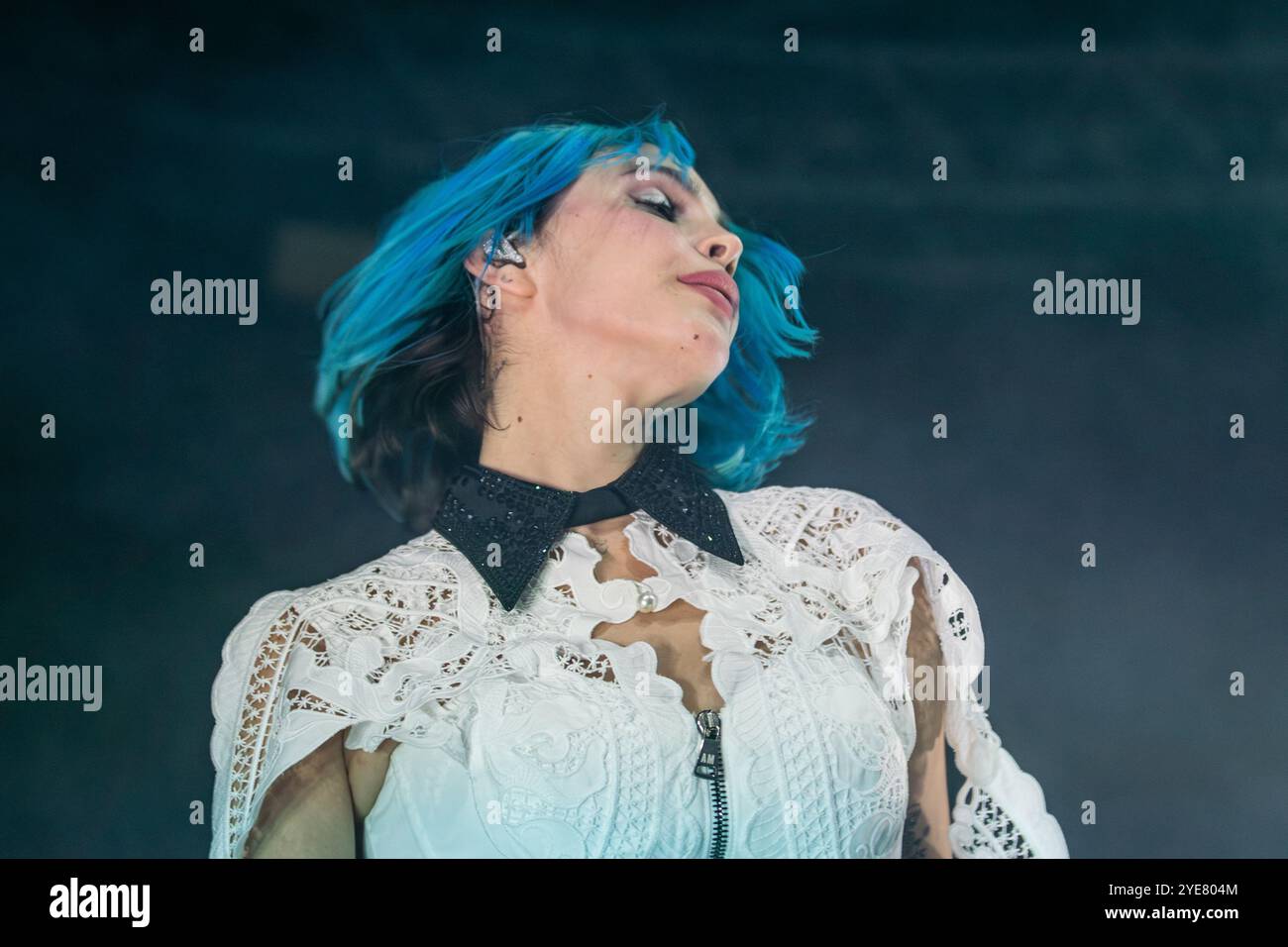 Rose Villain (Rosa Luini Stock Photo - Alamy