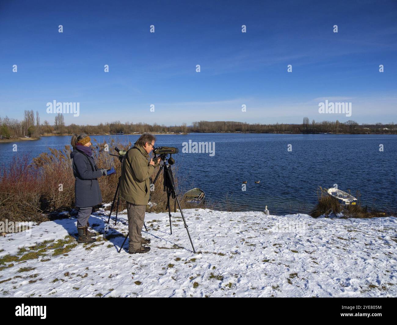 Waterfowl count, bird count, nature conservation, lake, waters ...