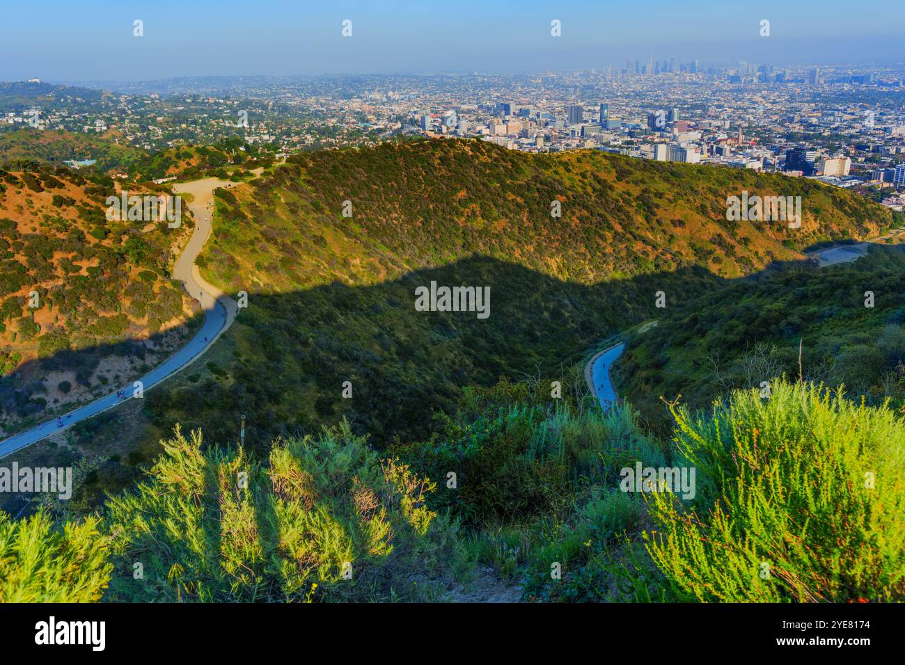 Expansive view showcasing winding trails in Runyon Canyon, revealing ...