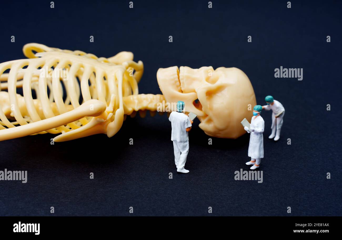 Miniature surgeons inspecting a human skeleton model lying on its back ...