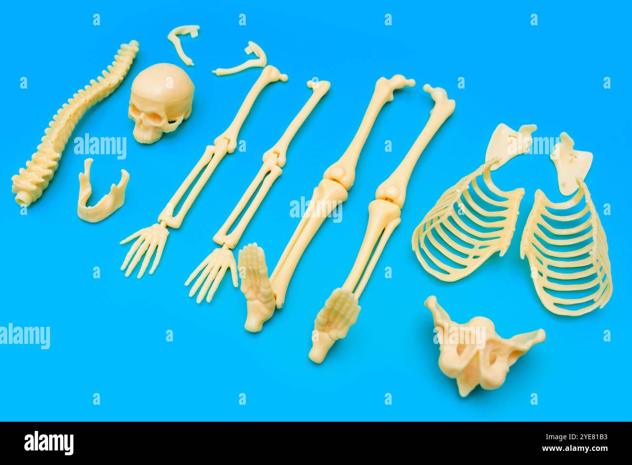 Classroom visual aids hi-res stock photography and images - Alamy