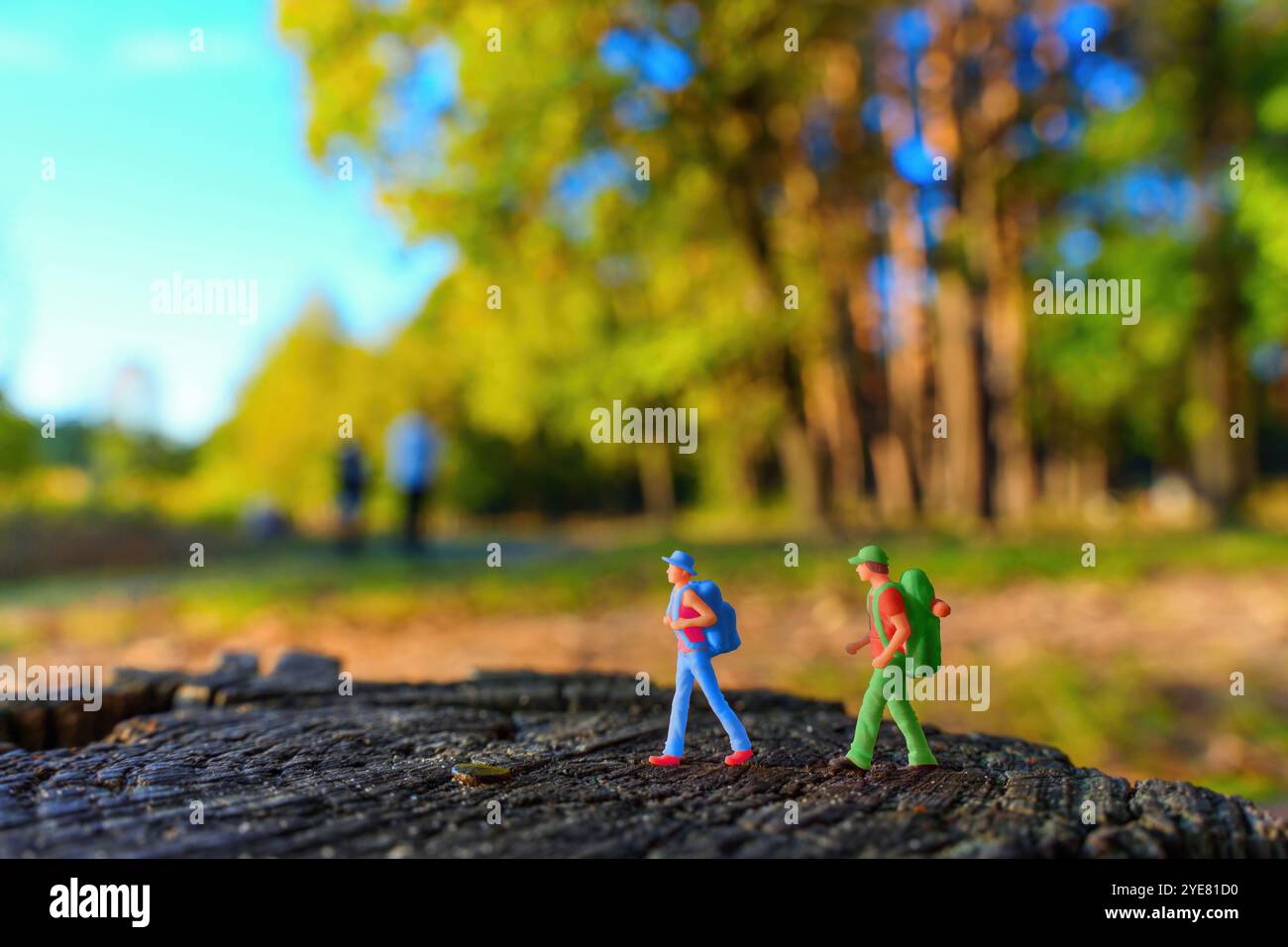 Two miniature hiker figurines walking on a tree stump, surrounded by a ...
