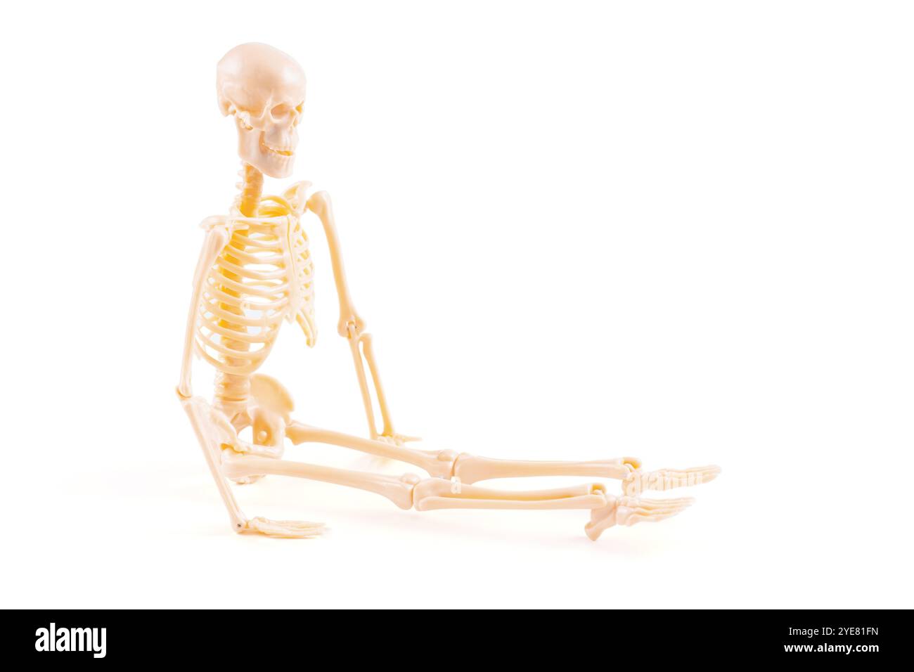 Perfect posture hi-res stock photography and images - Alamy