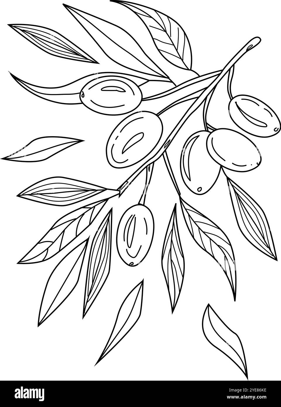 coloring page an olive branch Stock Vector Image & Art - Alamy