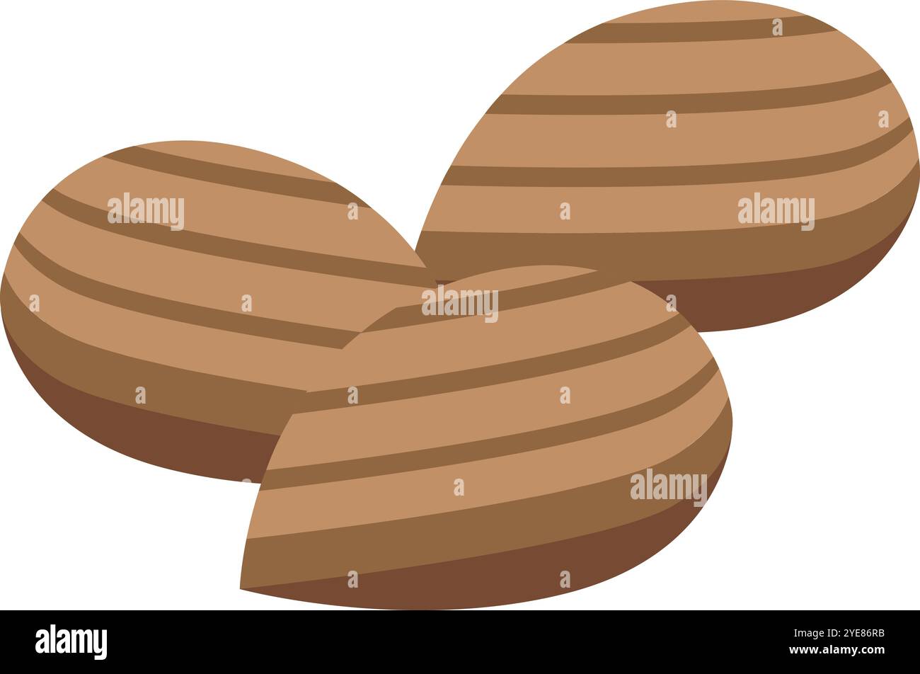 Tiger nut Stock Vector Images - Alamy