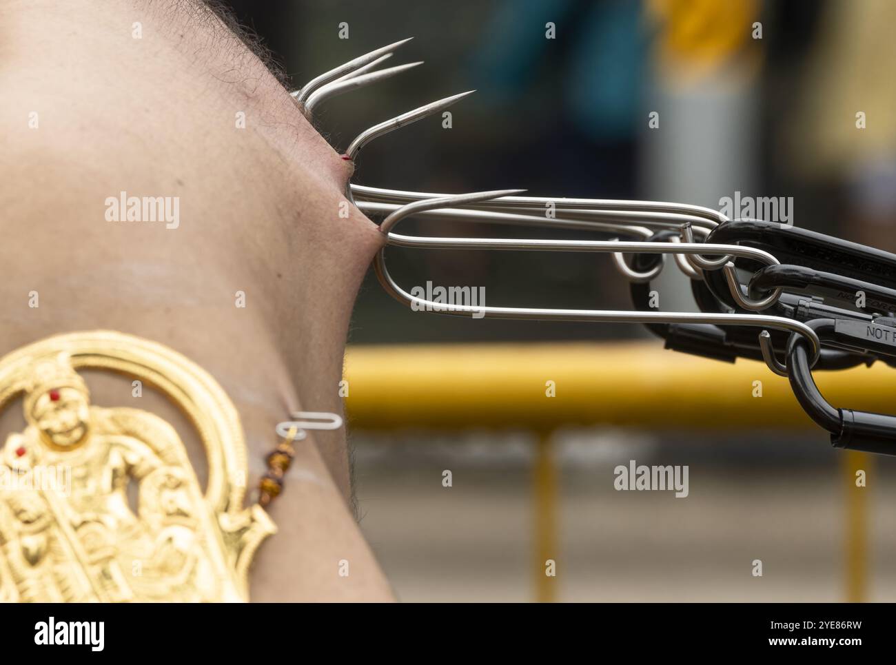Thaipusam festival in Singapore devotees practice a mortification of ...