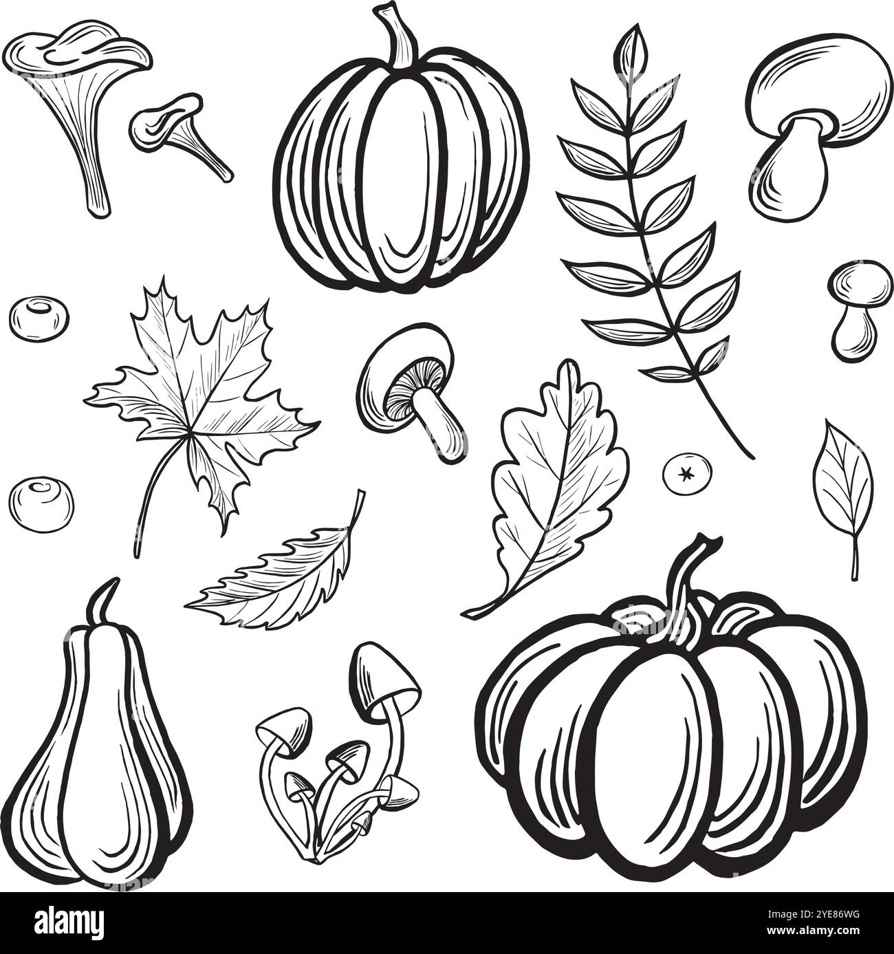 Fall Illustration Black And White Autumn Black White Stock