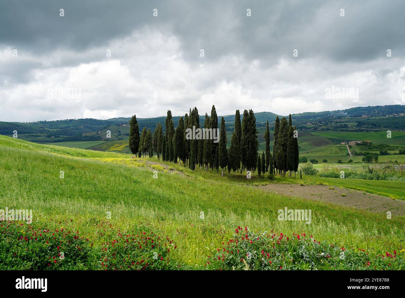 Tuscany landscape rolling hills hi-res stock photography and images - Alamy