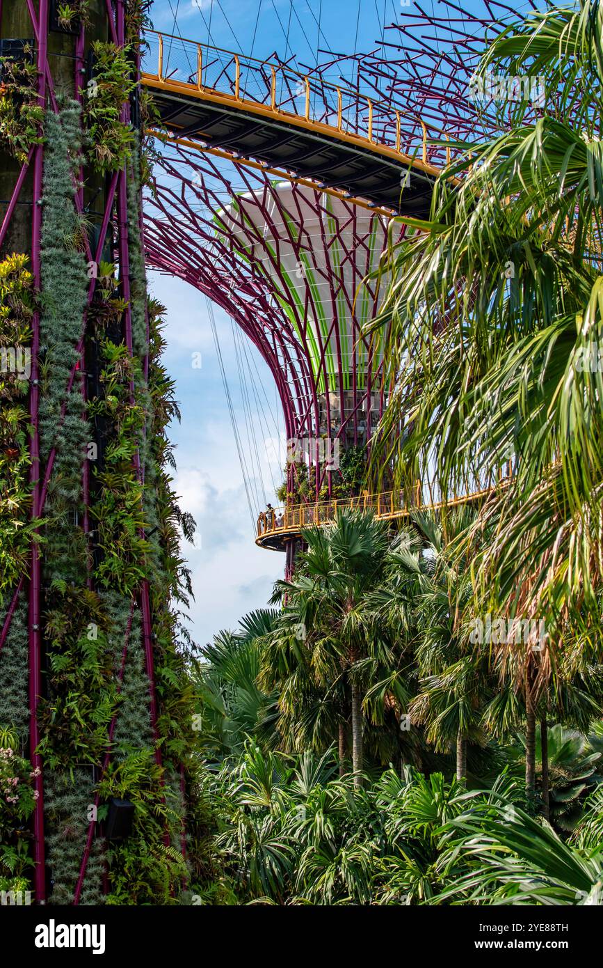 The OCBC Skyway, 22 metres (meters) above the ground is a 128m long ...