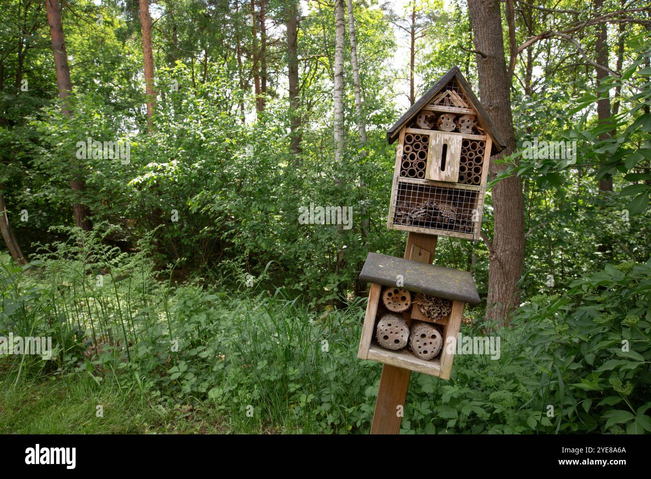 A bee and insect hotel in a garden Stock Photo - Alamy
