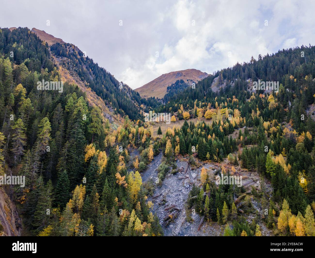 Top view orange canyon trees hi-res stock photography and images - Alamy