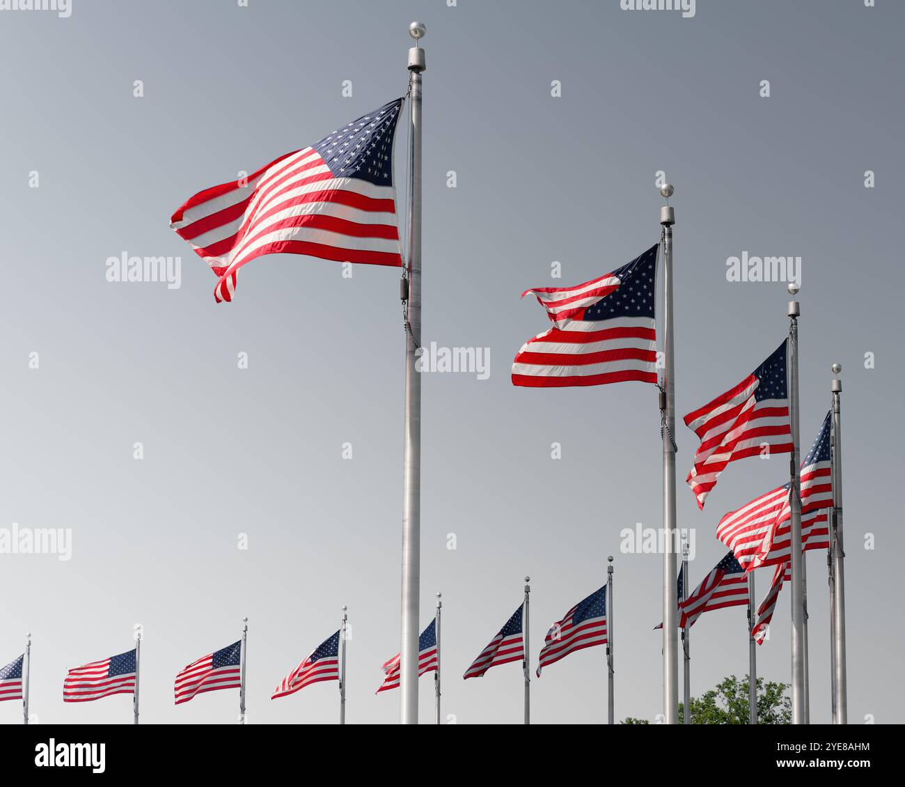 Modern white building flags hi-res stock photography and images - Alamy