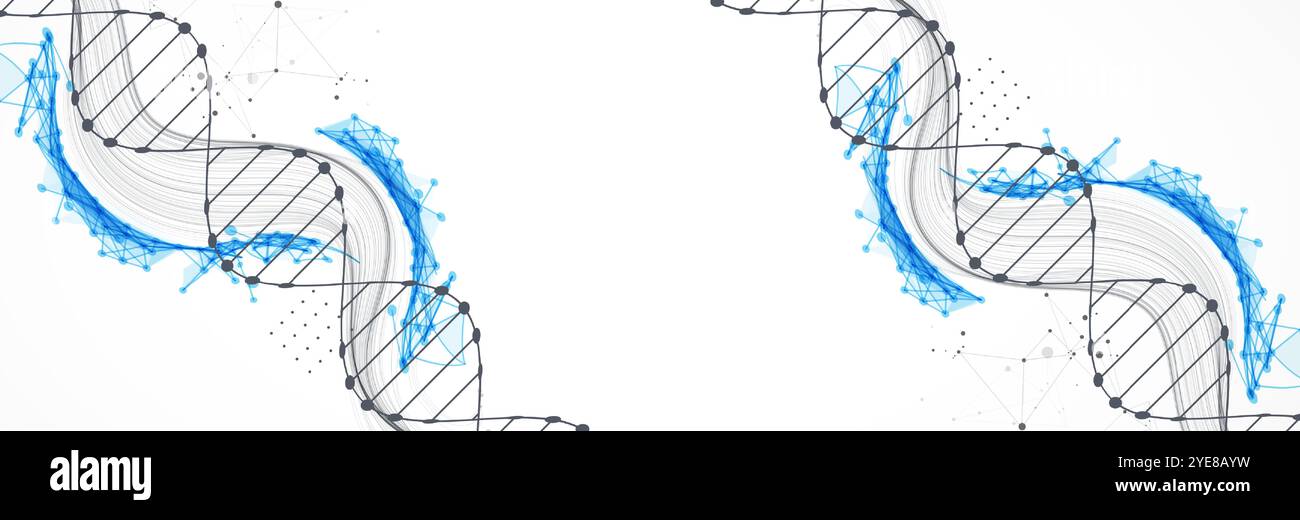 Dna template strand Cut Out Stock Images & Pictures - Alamy