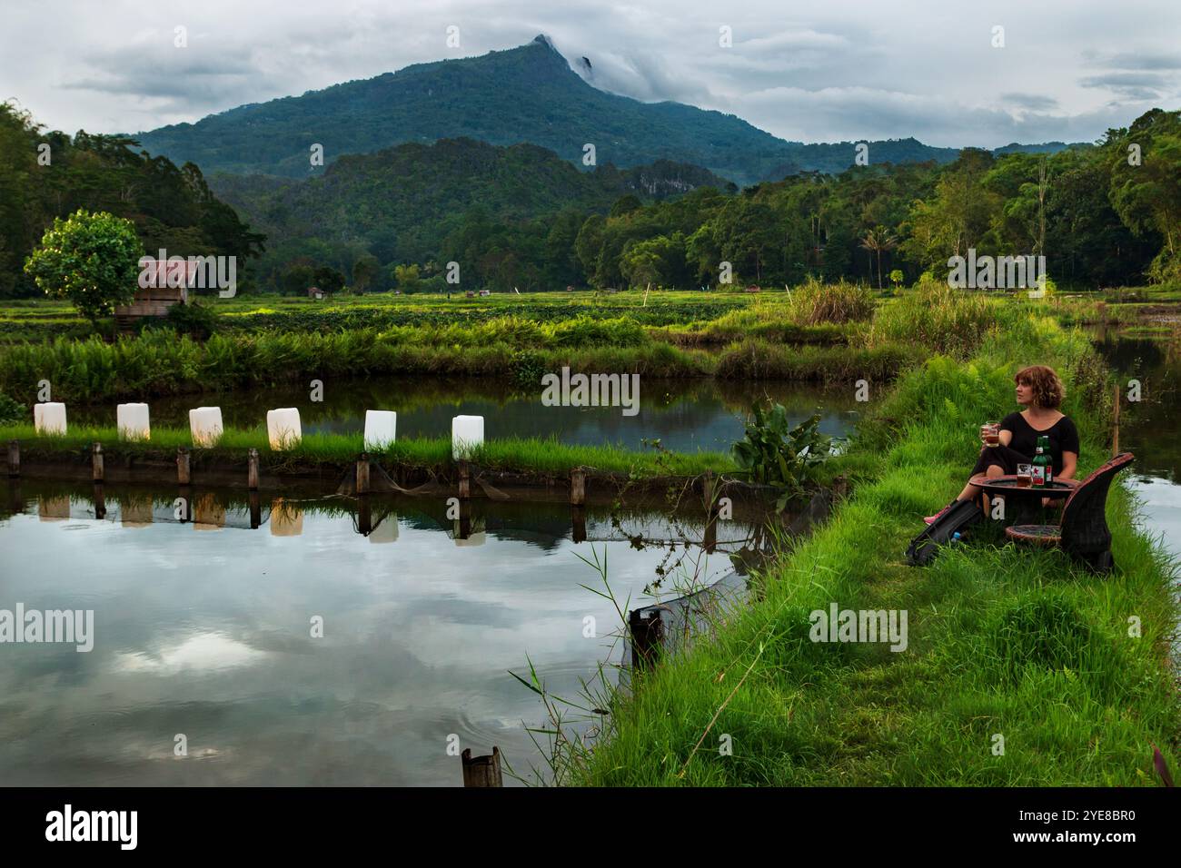 Once in a lifetime beer stop near rice fields at sunset in Indonesia ...
