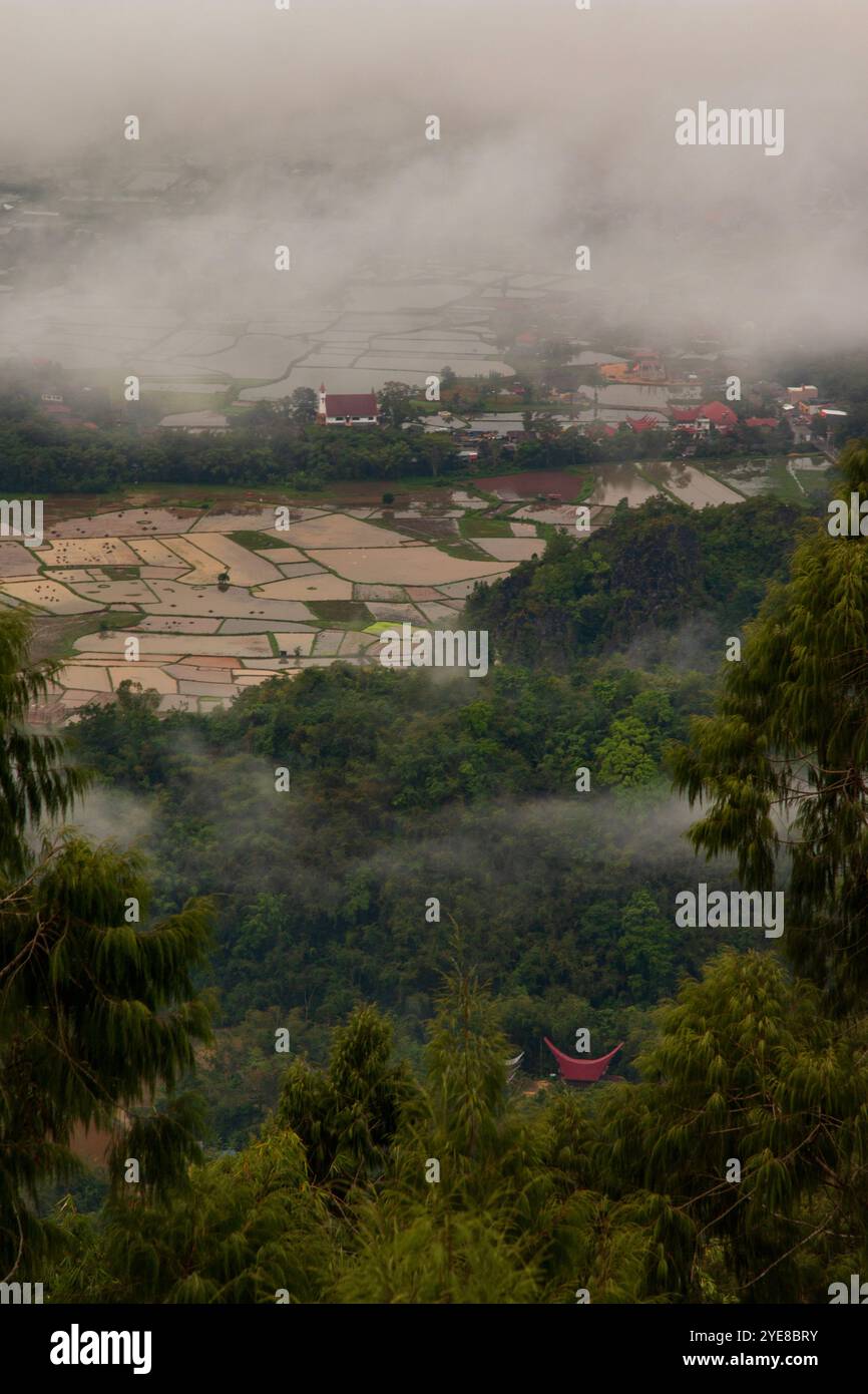 Looking out over flooded rice terraces in Indonesia Stock Photo - Alamy