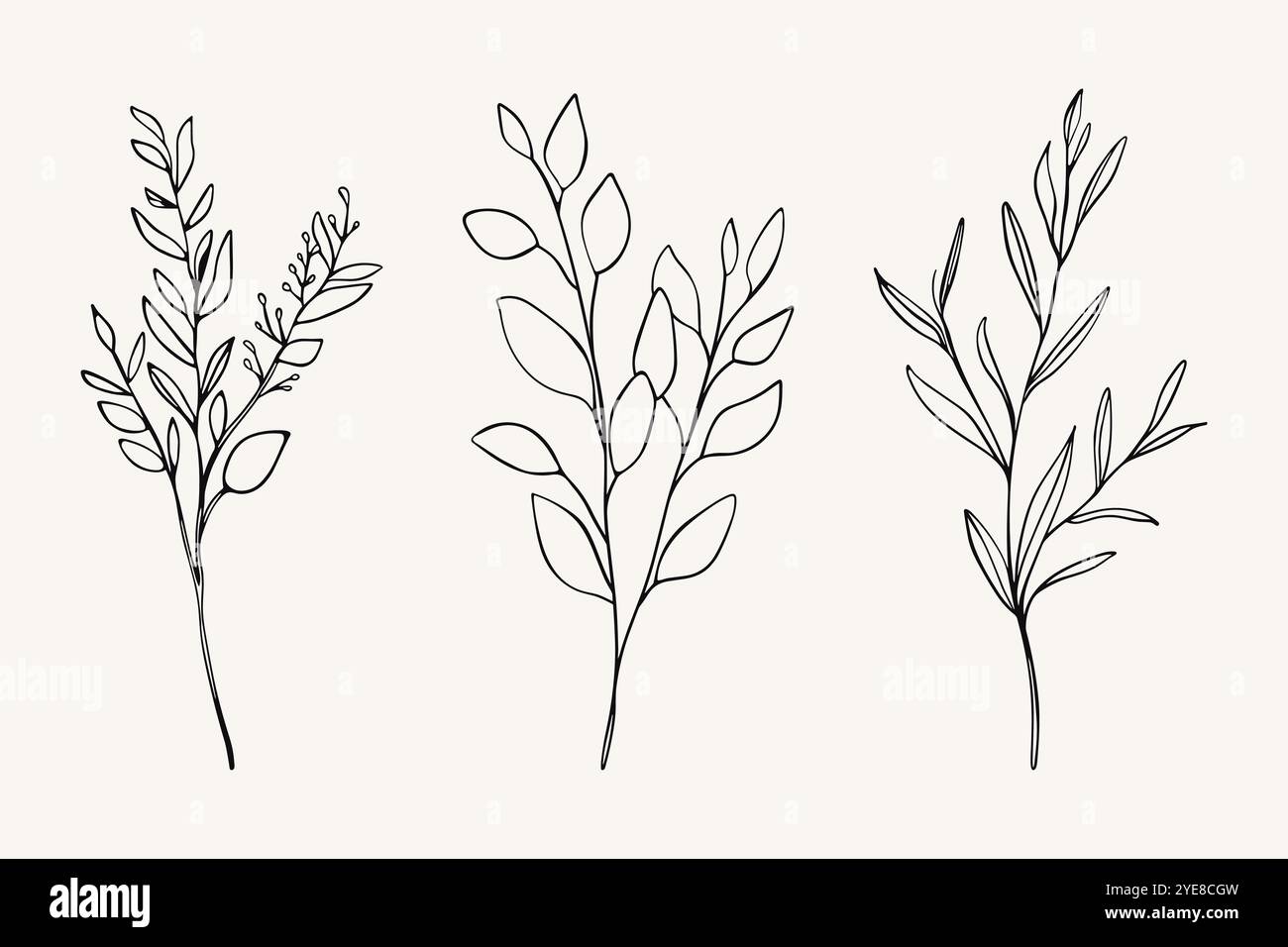 Outline vector floral set. Abstract hand drawn branches, forest plants ...