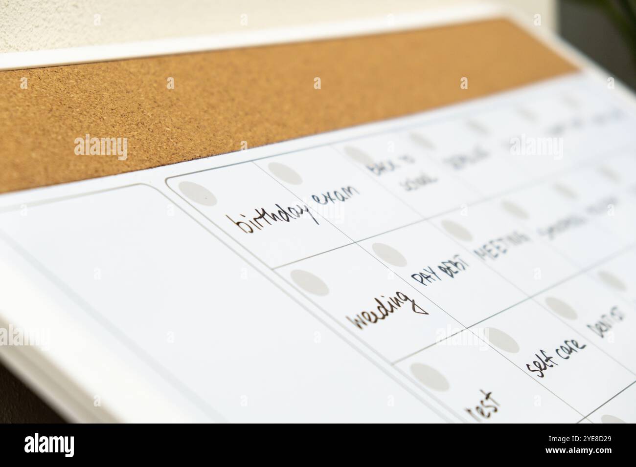 Monthly PLANNER filled with appointments and plans for next month. Busy ...