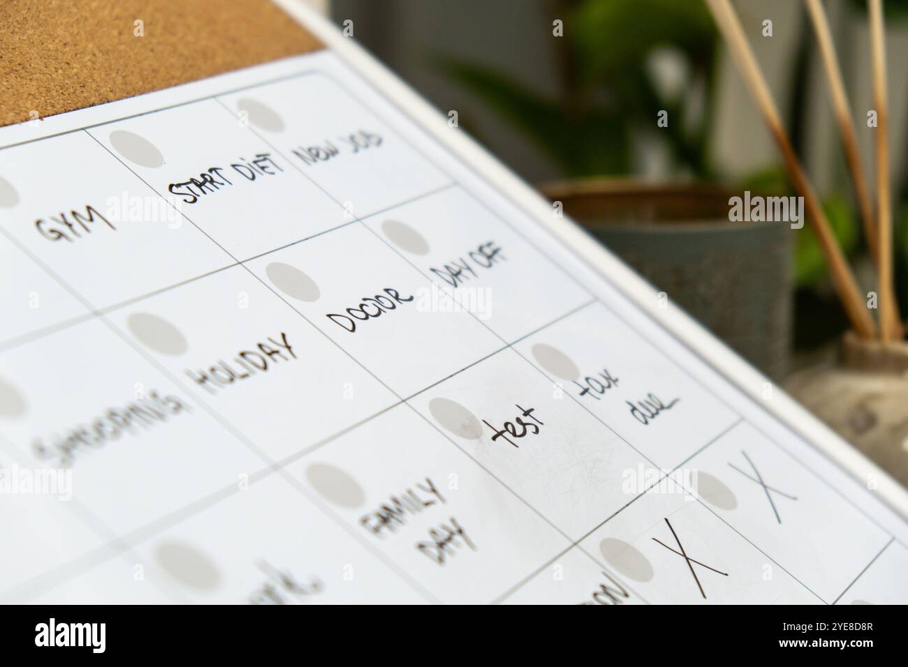 Monthly PLANNER filled with appointments and plans for next month. Busy ...