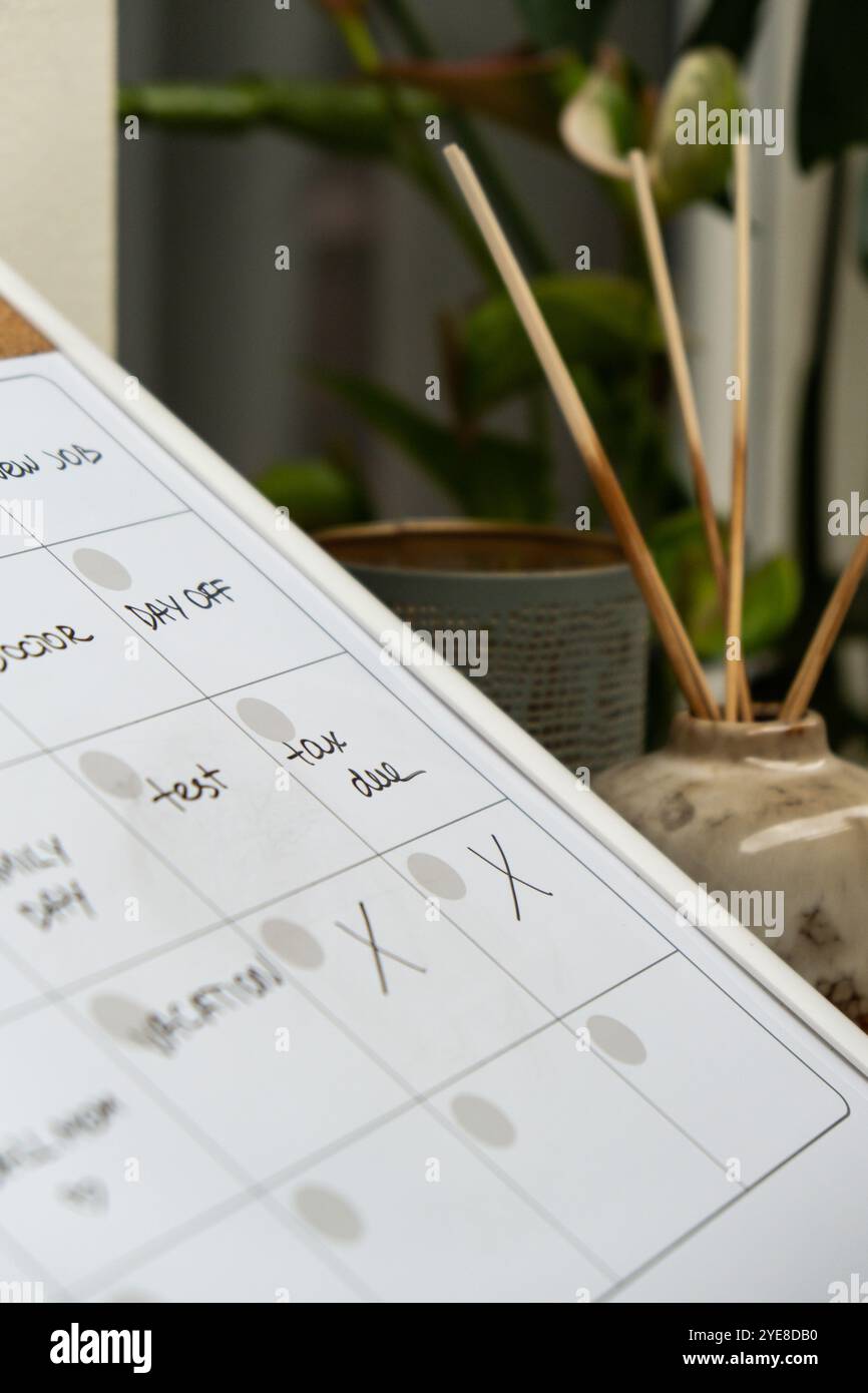 Monthly PLANNER filled with appointments and plans for next month. Busy ...