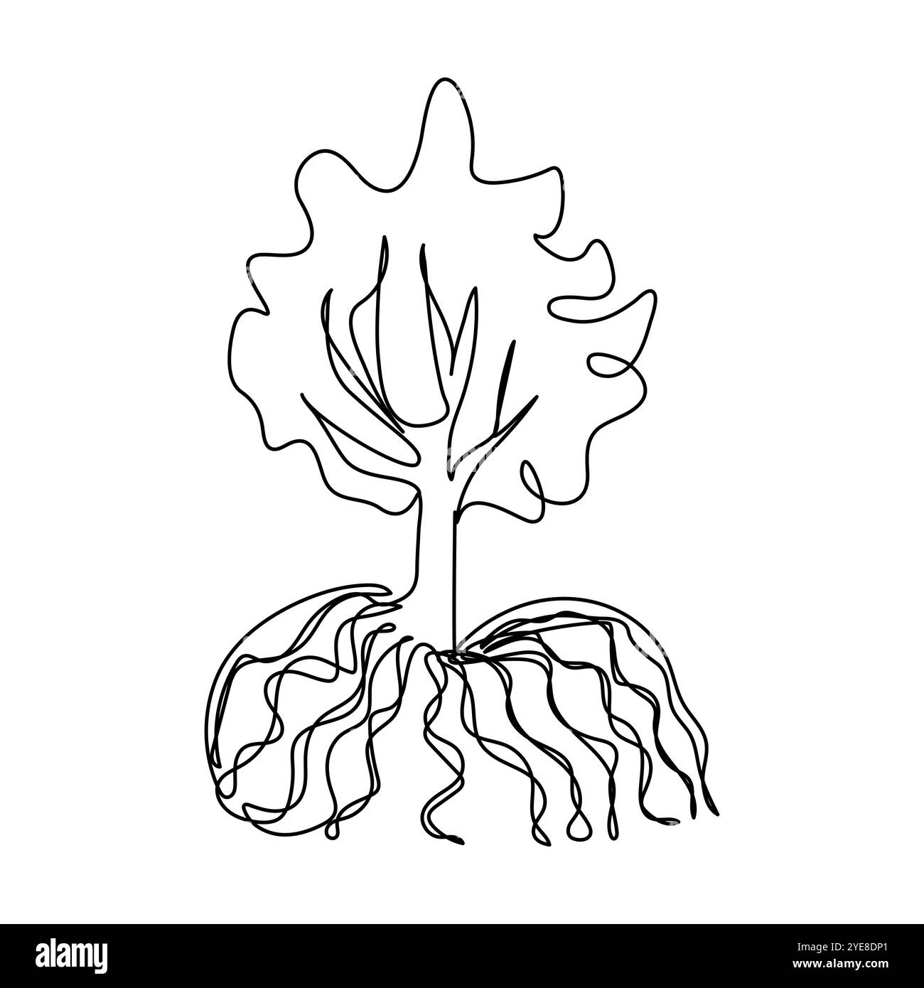 The International Day of Forests was established on the 21st day of ...