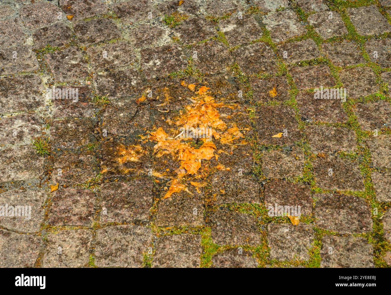Ausgekotzte hi-res stock photography and images - Alamy