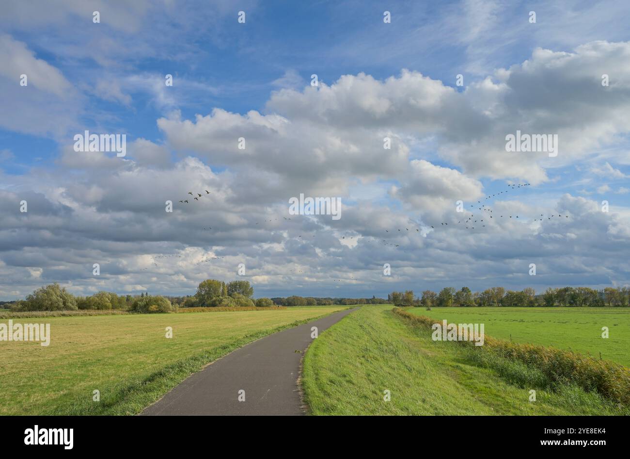 Damm radweg hi-res stock photography and images - Alamy