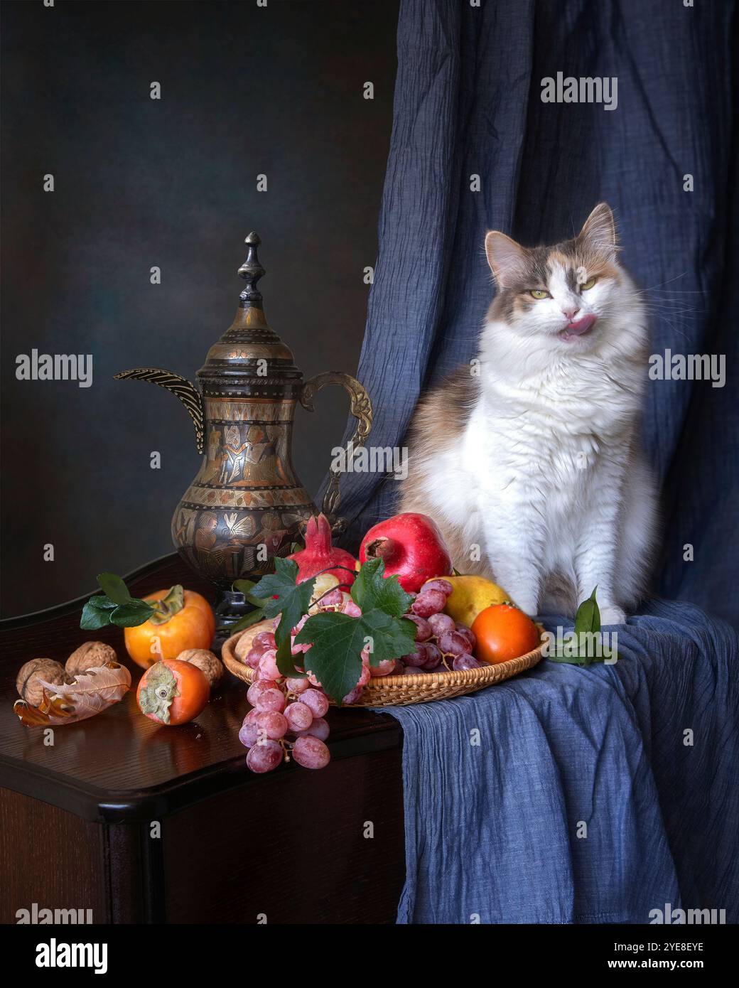 Kitty photos hi-res stock photography and images - Alamy