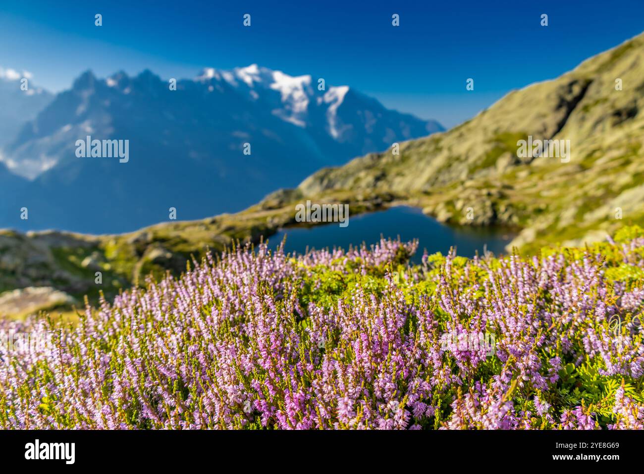 Lake in the Alps. Mountain lake high altitude lagoon surrounded with ...